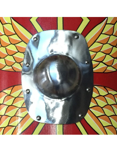 Tortoise Roman shield - Umbo silver ⚔️ Medieval Shop