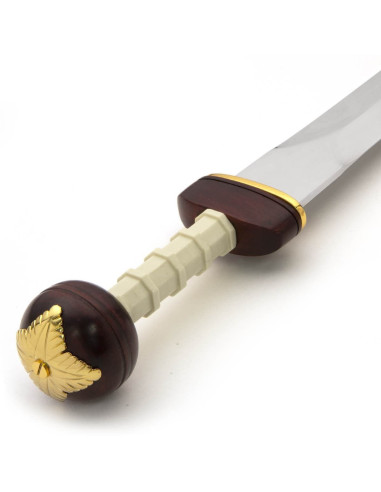 Functional Spiculus Gladiator Sword ⚔️ Medieval Shop