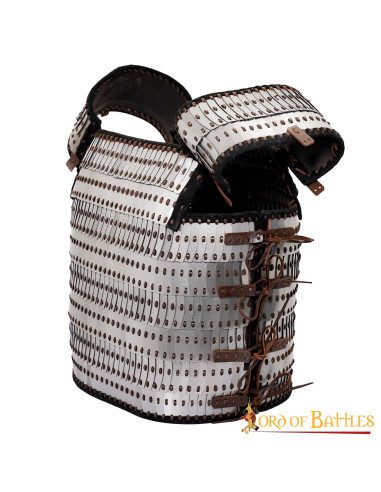 Viking scale armor with visby slats and plates ⚔️ Medieval Shop