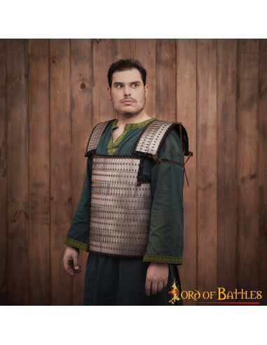 Viking scale armor with visby slats and plates ⚔️ Medieval Shop