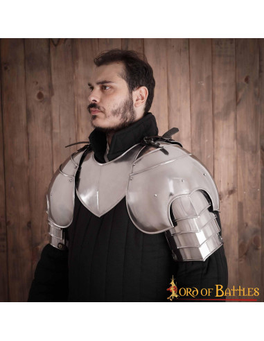 Polished Finish Fantasy Shoulder Pads (20 Gauge) ⚔️ Medieval Shop