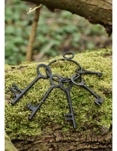 Set of 5 keys and keychain of the medieval prison ⚔️ Medieval Shop
