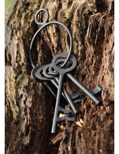 Set of 5 keys and keychain of the medieval prison ⚔️ Medieval Shop