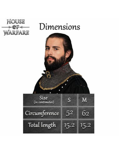 Chainmail gorget with padded lining (6 mm.) ⚔️ Medieval Shop