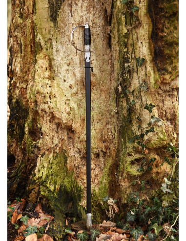 Decorative German Rapier Sword with Scabbard ⚔️ Medieval Shop